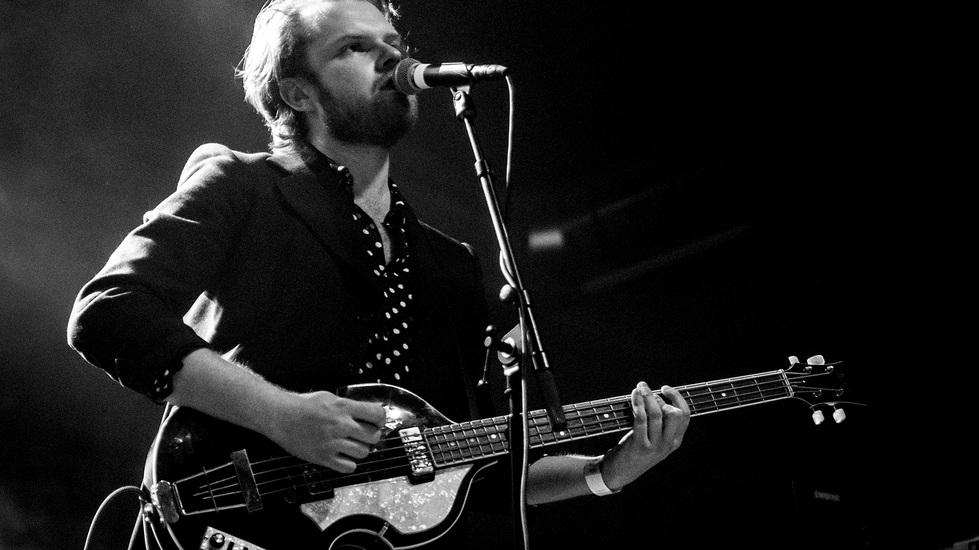 The Flavians | Höfner